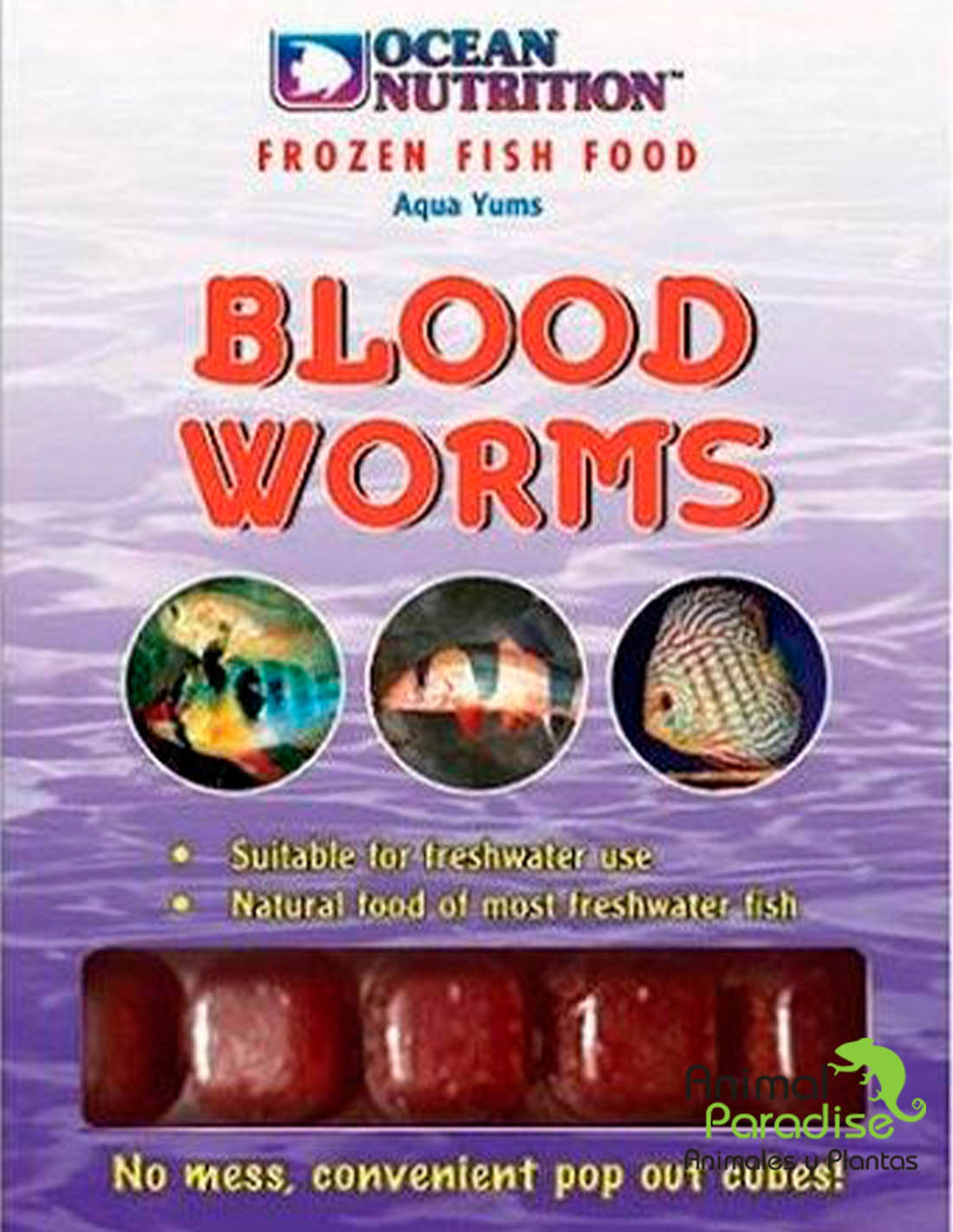 Compra online el mejor ALIMENTO para tu acuario en Animal Paradise